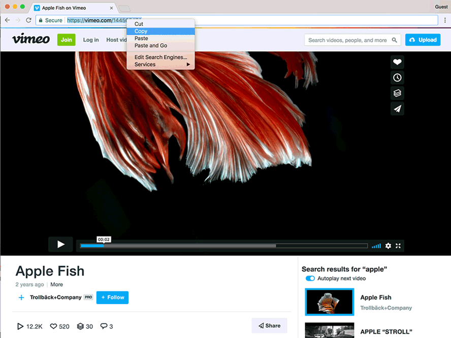 How to add a video to a session using Vimeo? – Knowledge Base